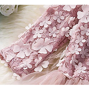 TTYAOVO Girls Long Sleeve Lace 3D Flowers Tulle Layered Princess Party Dresses Size(120) 3-4 Years Pink