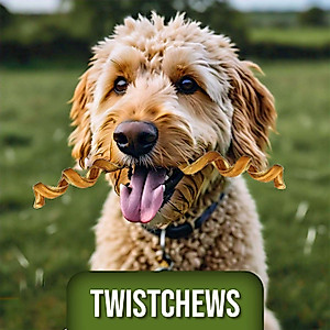 FURFUEL Spiral Bully Sticks - Premium Single-Ingredient Chew for Dogs - Made from Beef Pizzle - Bully Stick Springs for Dogs are Low Odor & Healthy (6 Pack)