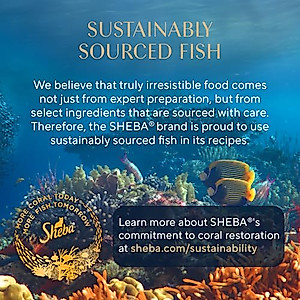 Sheba Perfect Portions Wet Cat Food Pate Tender White Fish and Tuna Entree, 2.6 oz. Twin-Pack Trays (24 Count, 48 Servings)