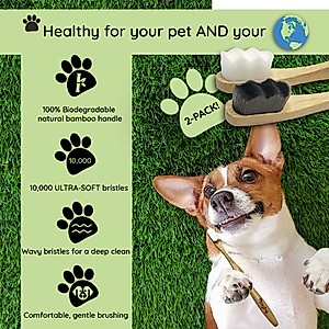 OH RIGBY Dog Toothbrush- 10,000 Ultra-Soft Bristles for Sensitive Pet Teeth & Gums- Natural Bamboo Toothbrush for Comfortable, Gentle Deep Cleaning