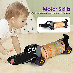 Dog Pull Toys|Montessori Wooden Toys|Abacus for Toddlers 1-3|Preschool Educational Toys