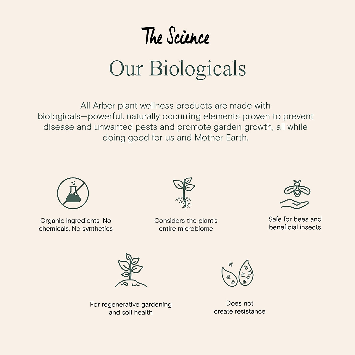 ARBER Spray Bottle | Translucent Design with Spray Nozzle for Easy Plant Hydration | 32 oz