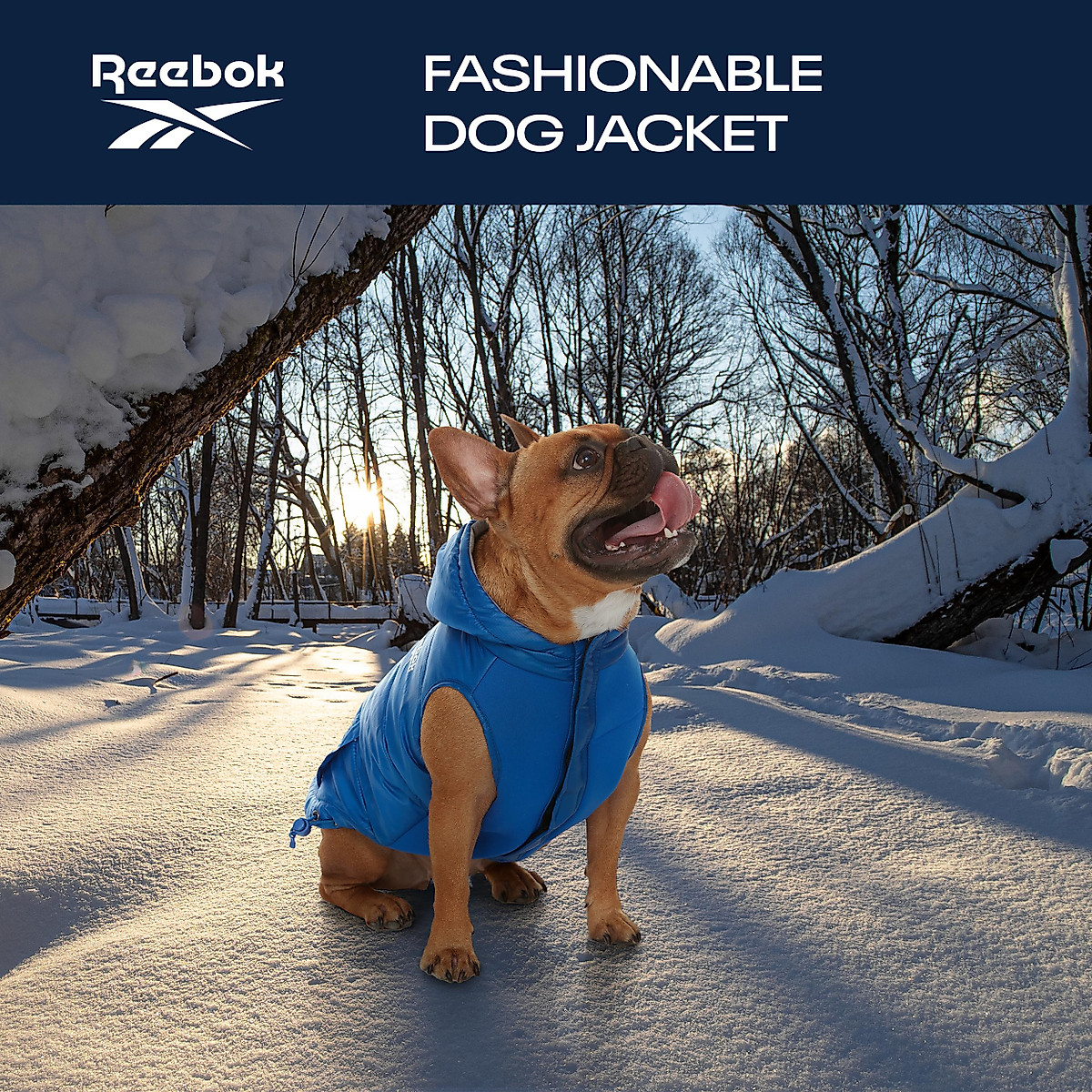 Reebok Dog Puffer Jacket - Waterproof Dog Vest with Hoodie, Dog Winter Clothes for Small, Medium, and Large Dogs, Premium Windproof Dog Snow Jacket Perfect for Cold Weather, Comes with Leash Hole