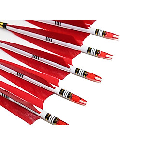 TTFLY FLETCHING 12PCS Red Turkey Feather 31 inches Carbon Arrows Replacement Tips Targeting Arrows Archery for Recurve Longbow Hunting&Practice