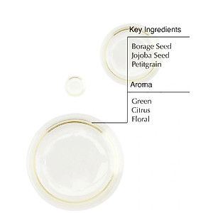 Aesop Shine Hair & Beard Oil | Silicone-Free Hydrating Oil Imparts Smoothness and Lustre | Without Build-up or Oily Residue | 0.8 oz