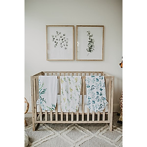 NODNAL CO. 3 Fitted Crib Sheets Leafy Set - 100% OEKO-TEX Cotton Baby Girl/Boy Nursery Bedding - Gender Neutral Leaves, Greenery, Floral Eucalyptus Standard Baby Toddler Crib Mattress 28”x52”x9” Sheet