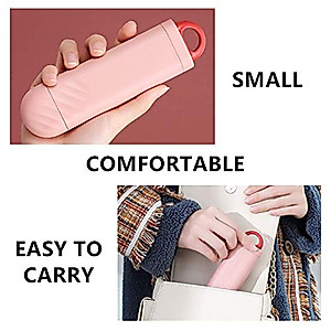 2 Pcs Pet Hair Remover Double-sided Fur Removal Brush Fur Hair Removal Tool for Clothes Sofa Carpet Car Seat