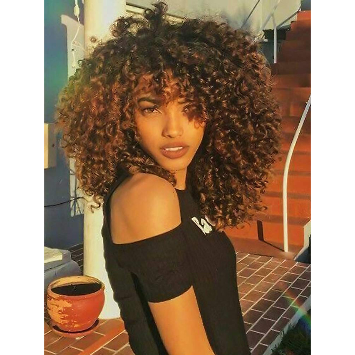 ANNIVIA Short Curly Wig for Black Women with Bangs Big Bouncy Fluffy Kinky Curly Wig Heat Resist Soft Synthetic 2Tone Ombre Darkest Brown Short Curly Afro Wig