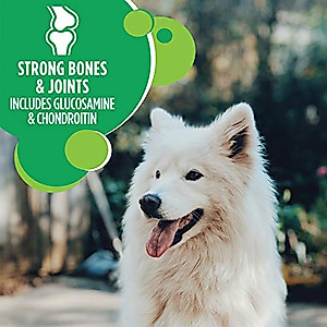 IAMS Adult High Protein Large Breed Dry Dog Food with Real Chicken, 30 lb. Bag