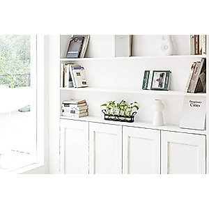 Mkono Plant Terrarium with Metal Stand, Retro Glass Planter Tabletop Flower Vase Perfect for Propagating Hydroponic Plants Flower Cutting Cute DIY Centerpiece Home Office Garden Decor, 5 Bottle