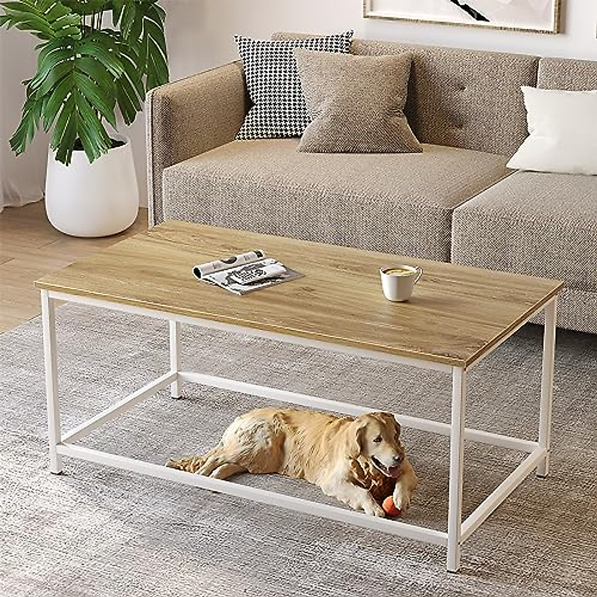 SAYGOER Coffee Table Simple Modern Coffee Tables Open Design Rectangular Minimalist Center Table for Living Room Home Office, Easy Assembly, 39.37 x 19.69 x 17.72, Oak White