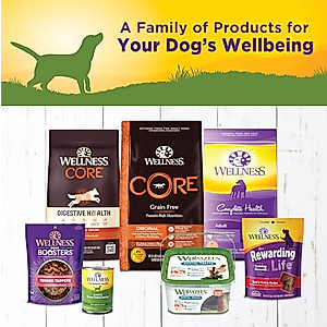 Wellness Complete Health Natural Wet Canned Dog Food, Lamb & Sweet Potato, 12.5-Ounce Can (Pack of 12)