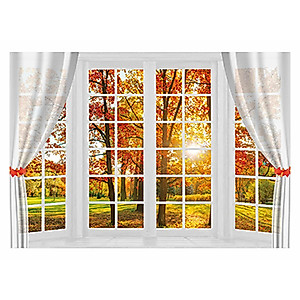 Allenjoy Autumn Tree Window Backdrop Fall Forest Scene Natural Windowsill Photography Background Newborn Party Banner Wall Decor Photo Booth Props