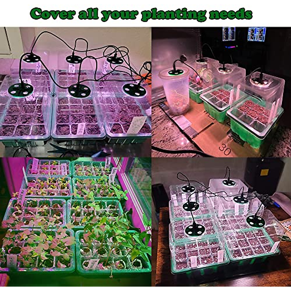 Plus Seed Starter Tray with Grow Light,5 Pack Seed Starter Kit,Increase Germination Rate&Adjustable Humidity&Reusable Seed Starter with Grow Light,Total 60-Cell Seed Starter Tray-Include Planting Kit