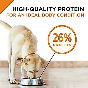 Purina Pro Plan With Probiotics Large Breed Dry Dog Food, Shredded Blend Chicken & Rice Formula - 18 lb. Bag
