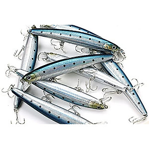 LUCKY CRAFT Flashminnow 110 (714 Metallic Sardine), Surf Fishing Lure