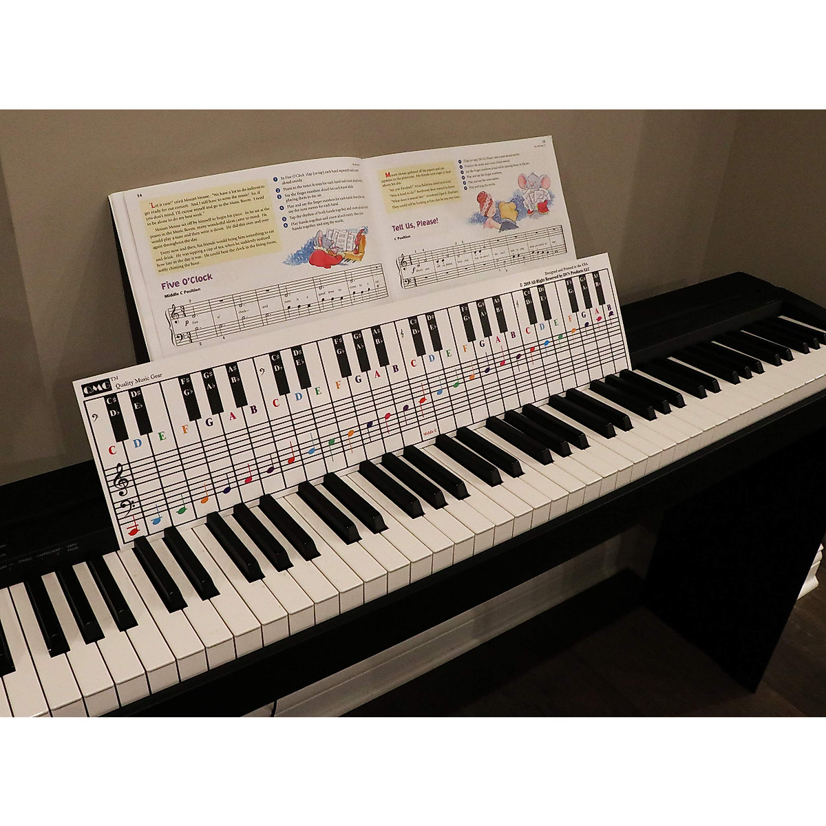 QMG Piano and Keyboard Note Chart, Use Behind the Keys, Ideal Visual Tool for Beginners Learning Piano or Keyboard, Easy to Set Up, for any Medium to Full Size Piano or Keyboard, Cover Four Octaves