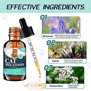 IPOTAO Cat Melatonin - Cat Calming Products for Stress & Anxiety Relief, Melatonin for Cats' Sleep Aid, Cat Relaxer Calming Drops, Support Restful Sleep for Your Cat, 1 fl oz