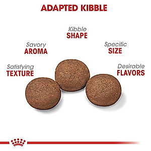 Royal Canin Medium Puppy Dry Dog Food, 30 lb bag