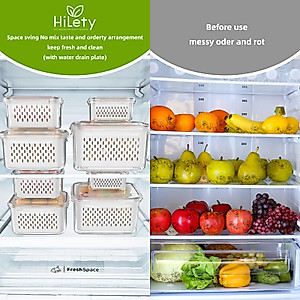 HILETY 4 PCS Fruit Storage Containers for Fridge with Removable Colander, Dishwasher Safe Produce Saver Container for Refrigerator,Airtight Food Storage Container