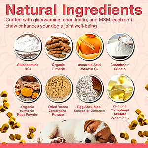 pawlife Arthritis Dog Joint Chews| Glucosamine, Chondroitin, Omega-3| MSM Support for Healthy Joints| 120ct Veterinarian Formulated Soft Chews| Up to 4-Month Supply