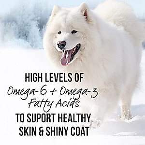 Merrick Backcountry Grain Free Wet Dog Food Real Beef Dinner - (12) 12.7 oz Cans