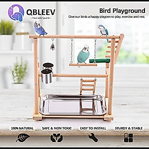 Bird Play Stand Parrots Playground Wooden Stick Perch，Bird Playpen Exercise Gym with Ladder Feeder Cup Bell Swing，Parrot Play Climb Gym for Parakeet Cockatiel Conure(Include a Tray)