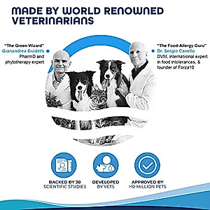 Forza10 Wet Dog Food Kidney RENAL ACTIWET, 3.5oz, Kidney Dog Food Wet, Renal Dog Food Lamb Flavor, Dog Renal Support Canned Dog Food (32 Pack)