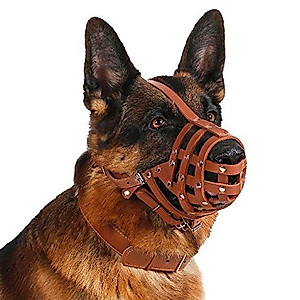 CollarDirect Dog Muzzle German Shepherd Dalmatian Doberman Setter Leather Basket Medium Large Breeds Black Brown (L, Black)