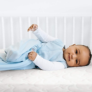 HALO DreamWeave Breathable Mesh Baby Crib Mattress and Aden + Anais Essentials Crib Sheets, White & Briar Rose