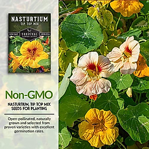 Survival Garden Seeds - Tip Top Mix Nasturtium Seeds - 3 Packs with Instructions to Plant and Grow Edible Flowers & Companion Plants in Your Home Vegetable Garden - Non-GMO Heirloom Variety