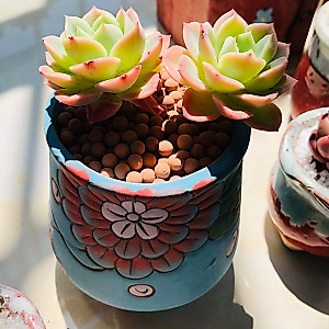 wohohoho 2.2lbs Mini Hydroponics Clay Pebbles, Upgraded 3mm-5mm Hydro Ceramsite Balls, Horticultural Top-Dressing Decorative Rocks for Aquaponics, Drainage Water, Purification, Cultivation