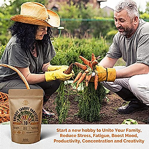 10 Carrot & 8 Onion Seeds Variety Packs Bundle Non-GMO Heirloom Seeds for Planting Indoor and Outdoor Over 5200 Carrot & Onion Seeds in One Value Bundle