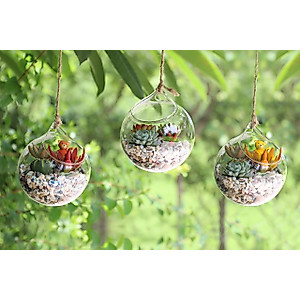 Ivolador Hanging Plants Glass Terrarium Container 4.7 Inches Air Plant Holder Succulents Globe Shape Home Garden Décor- 3 PCS