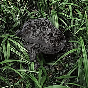 JUXYES Frog Cast Iron Key Hider Outside Spare Door Key Box Outdoor Small Garden Statues Ornament, Frog Indoor Decoration Jewelry Trinkets Box for Key, Ear Studs, Ring, Paper Clip