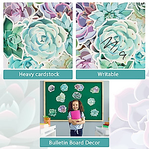 50pcs Succulents Cutouts Succulents Cut-Outs Classroom Decor Succulents Paper-Cuts Succulents Bulletin Board Cuts for Kids School Classroom Office Party Wall Decorations
