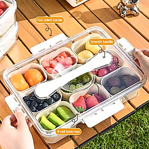 2 Pack Portable Picnic Parties Fruit Tray, 9 Compartment Fridge Food Veggie Condiment Divided Serving Preservation Storage Containers, Kitchen Clear Snackle Box Candy Organizer with Lid Handle