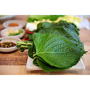 Gaea's Blessing Seeds - Korean Shiso Seeds (Perilla), Heirloom Non-GMO Seeds with Easy to Follow Planting Instructions, Korean Perilla, Open-Pollinated, 94% Germination Rate