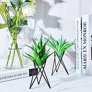 6 Pieces Air Plant Holder Black Metal Tabletop Air Plant Stand Rack Air Fern Display Stand for Home, Office and Wedding Decoration