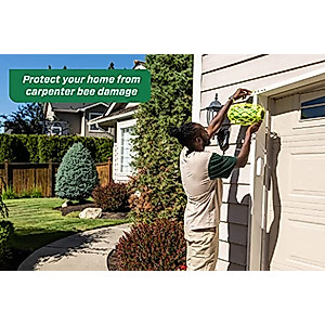 Rescue! Carpenter Bee TrapStik – Also Works on Wasps, Mud Daubers - 2 Traps