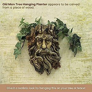 Bits and Pieces - 'Old Man' Tree Hanging Planter - Yard Decorations - Whimsical Tree Sculpture - Indoor/Outdoor Decoration - Garden Peeker Yard Art