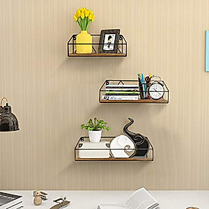 Edenseelake Floating Wall Shelves Set of 3, Shelf Wall Mounted for Bedroom, Bathroom, Living Room, Kitchen and Office