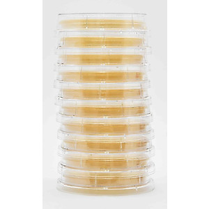 Prepared Rodac and Contact Plates for Critical Environments (10 plates per pack)