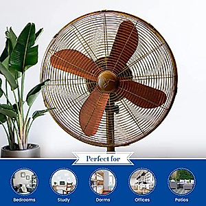 Designer Aire Oscillating Indoor/Outdoor Standing Floor Fan for Cooling Your Area Fast - 3-Speeds, Adjustable 40-51 Inches in Height, Fits Your Home Decor