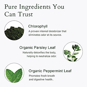 It Just Works Whole Body Natural Deodorizing Supplement for Full Freshness - Vegan & Organic Internal Deodorant for Underarms, Intimate Areas, and Private Parts, 30 Capsules