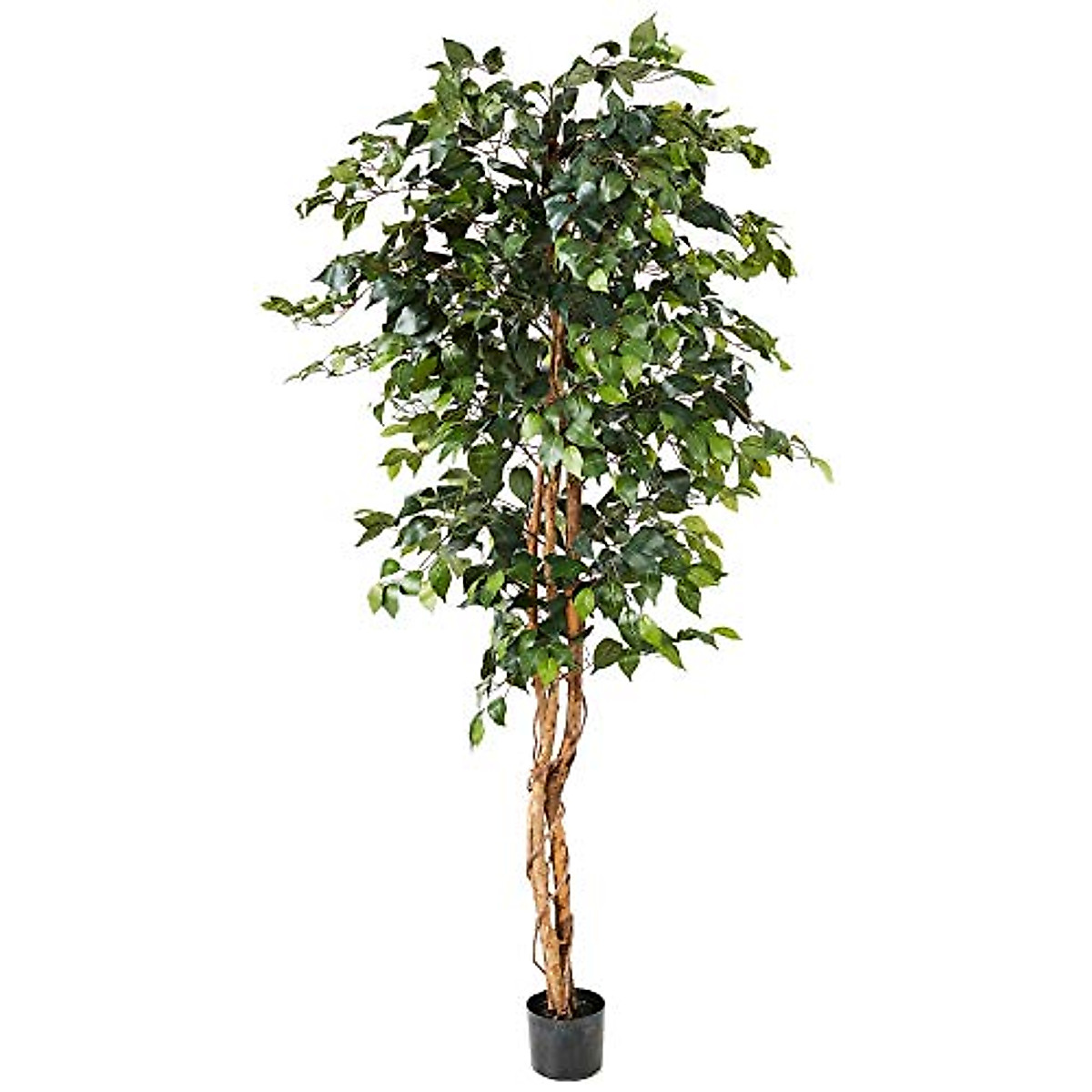 Nearly Natural 6ft. Ficus Artificial Trees, 72in, Green