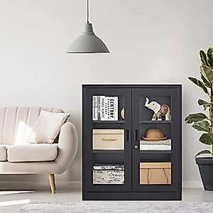 Anxxsu Metal Storage Cabinet with Glass Door, Locking Display Storage Cabinet with 2 Glass Doors and 2 Adjustable Shelves for Home, Office, Bedroom Storage (Black)