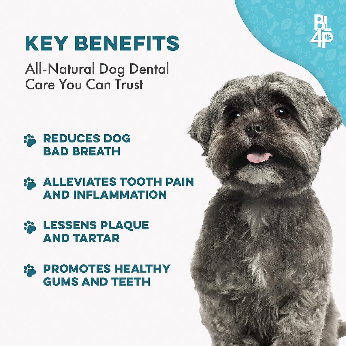 Dog Bad Breath Treatment & Dog Dental Care Solution - Natural Supplement for Canine Oral Health - Dog Tooth Pain Relief, Plaque Control, Gum Disease, Gingivitis - 400 Odorless, Tasteless Pills