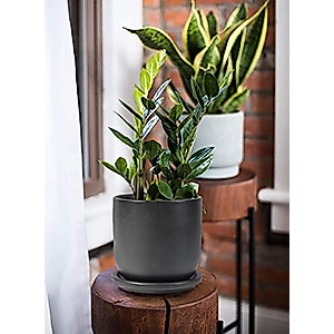 Serene Spaces Living Large Classy Matte Black Ceramic Pot with Drainage Holes and Saucer for Plants and Flowers, Decorative Outdoor/Indoor Planters, Measures 6" Diameter & 5.75" Tall