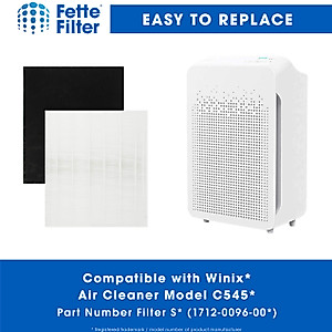 Fette Filter - C545 Premium Replacement True HEPA Filters Compatible with Winix Filter S for Air Purifier C545 Part # 1712-0096-00 Includes 2 True Hepa + 8 Carbon Filter.